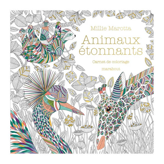 Carnet de coloriage - Animaux étonnants - Marabout